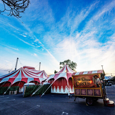 Touring Shows – American Circus Alliance